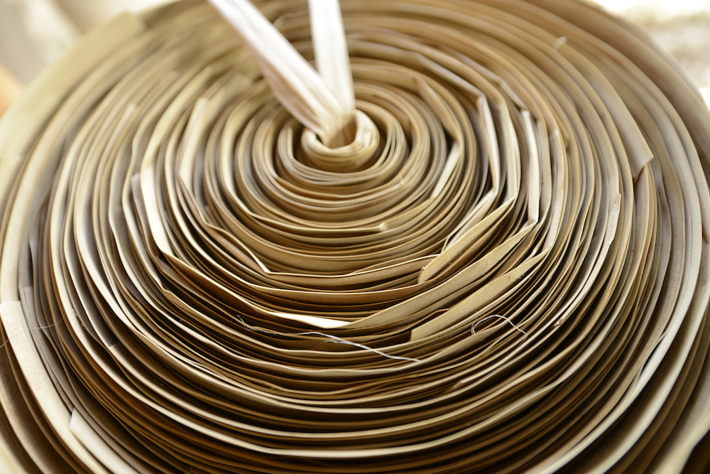 Pandanus tectorius | Tetiaroa Society