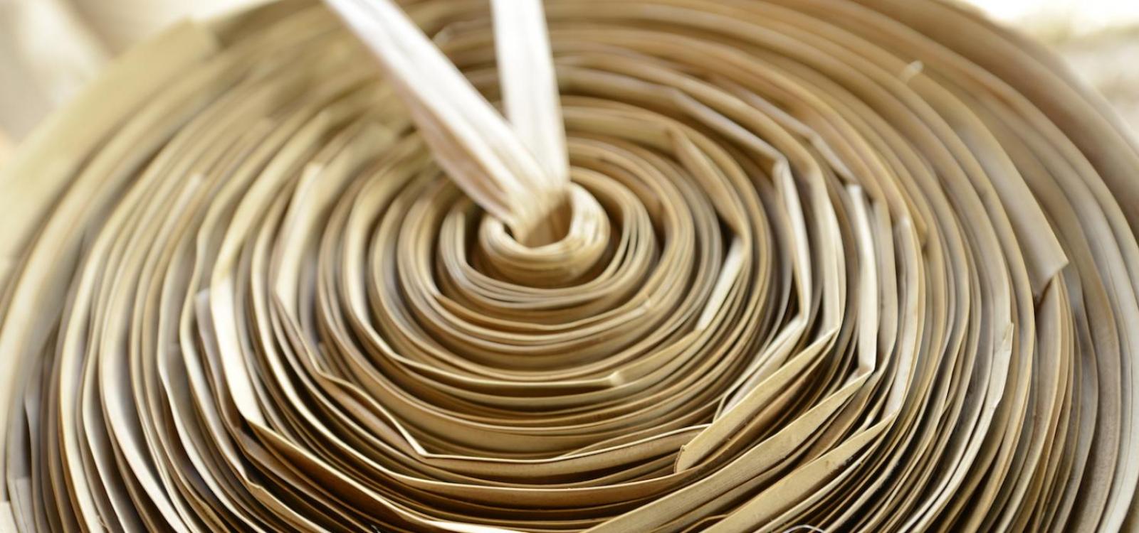 ra'au tupu | Tetiaroa Society